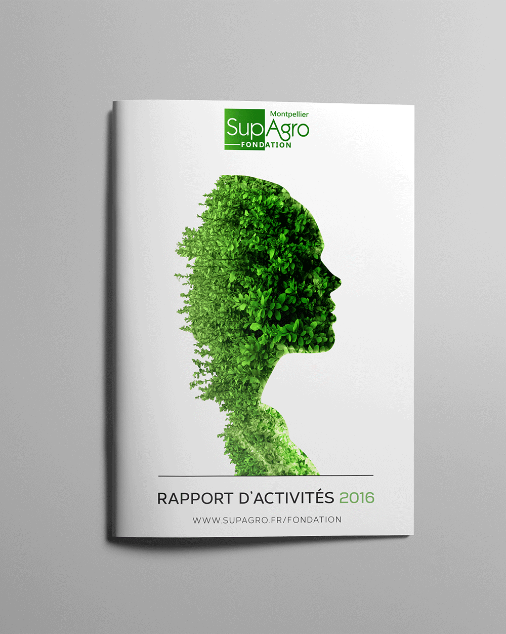 SupAgro Fondation - Rapport d'activités 2017 - Graphisme, mise en page